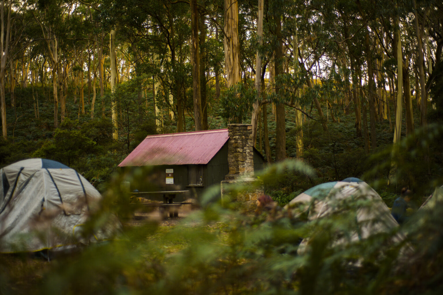 What to expect from Winter Camp OUT: Your next big adventure! - Cave ...